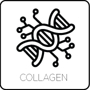 Collagen – Dolce Essentials